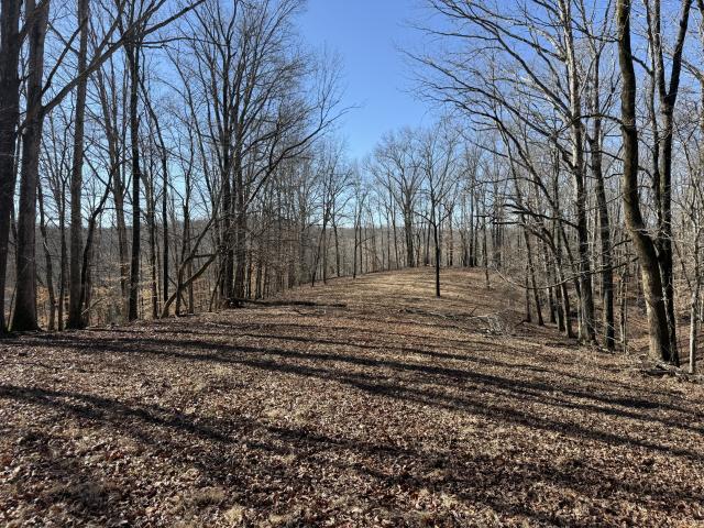 4 N Lick Creek Rd