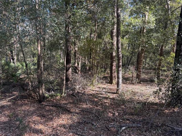 4 NE 123rd Ct, Archer, FL 32618 | MLS #GC535627 | Compass