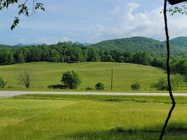 4 Oak Forest Acres
