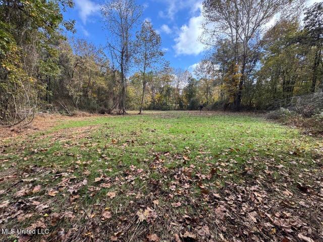 4 Old Hamburg Roxie Rd NW, Roxie, MS 39661 | MLS #4133