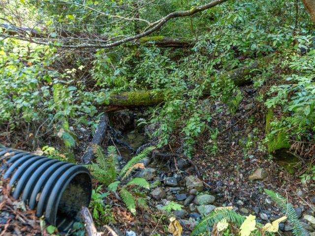 4 Old Mill Ave, Felton, CA 95018 | MLS #ML82028