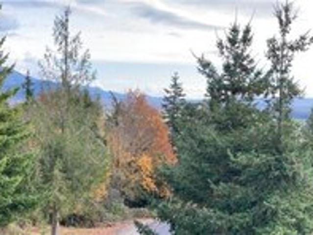 4 Avalon Heights Way Lot 4, Sedro Woolley, WA 98284