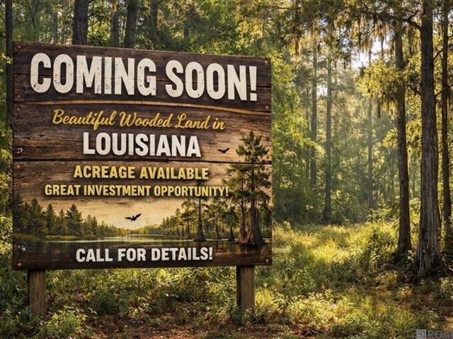 4 A 5 LA Highway 1032, Denham Springs, LA 70726