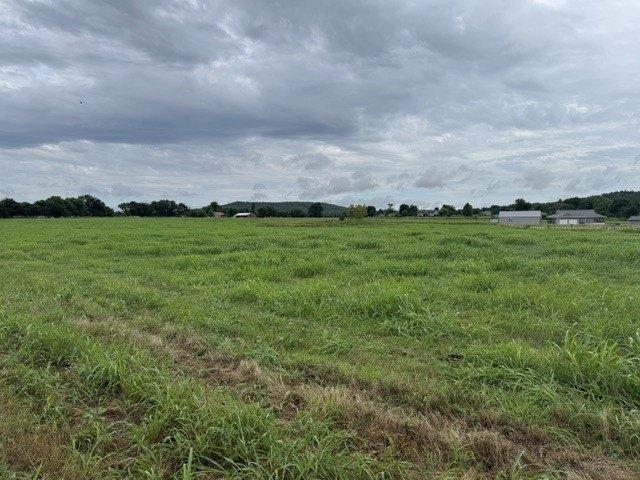 4 Ac Highway 62 Lot 0, Lincoln, AR 72744