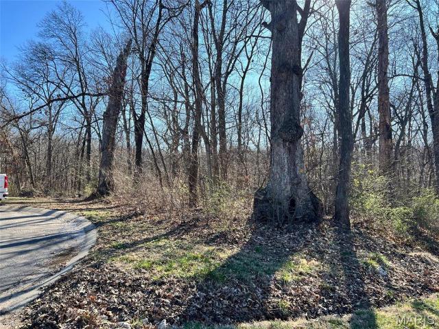 4 Acres Oak Ridge, Hannibal, MO 63401 | MLS #25076