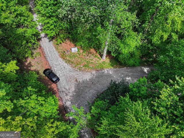 4 ACRES Dancing Bear Trail