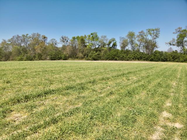 4 Acres Dillard Road
