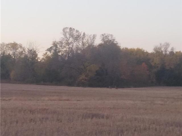 4 acres E 315th Street