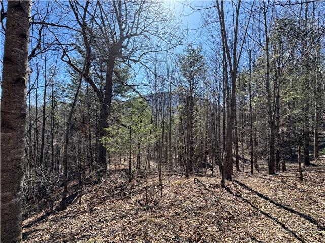 4 +/ Acres Hwy 194