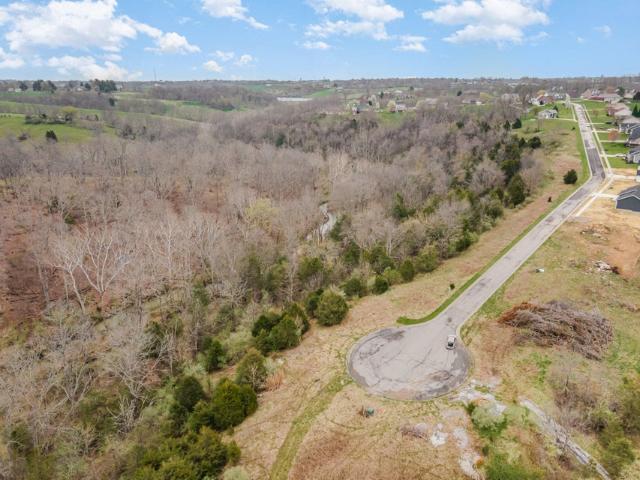 4 Acres Saddlebrook Lane