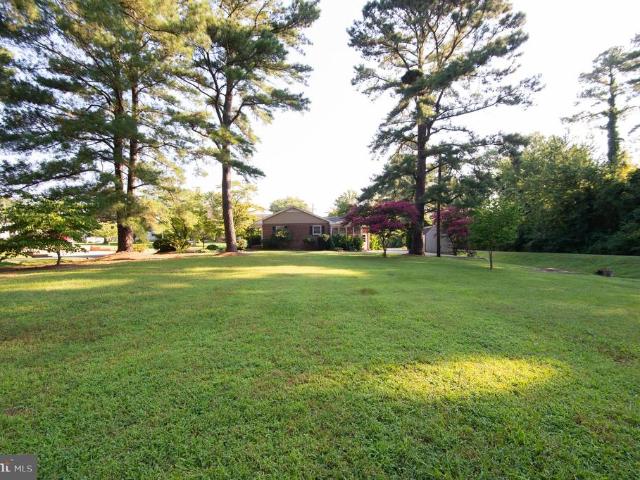 4 Algonquin Road