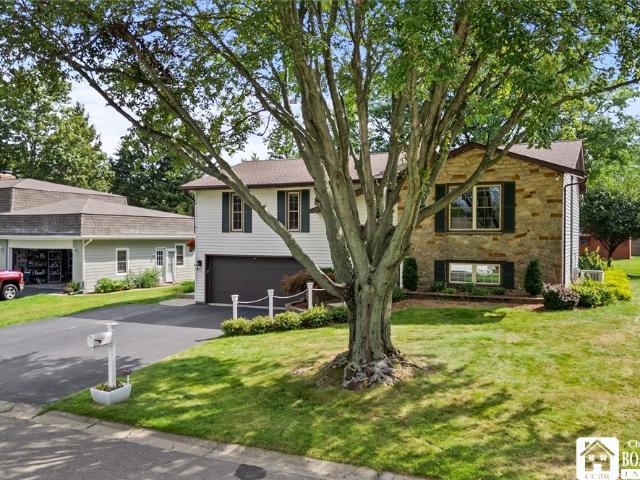 4 Andrew Court