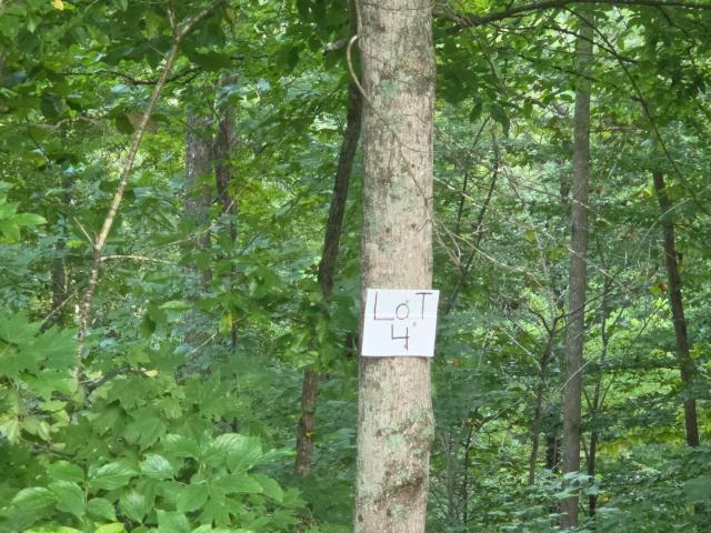 4 Buck Creek Circle
