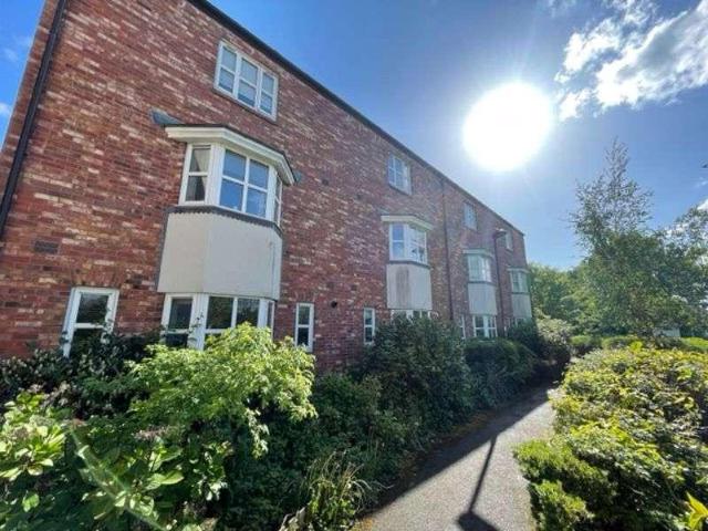 4 bed house to rent