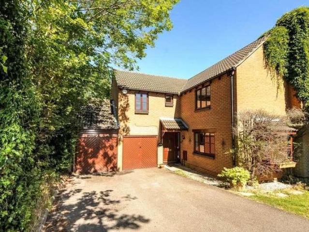 4 bed house to rent