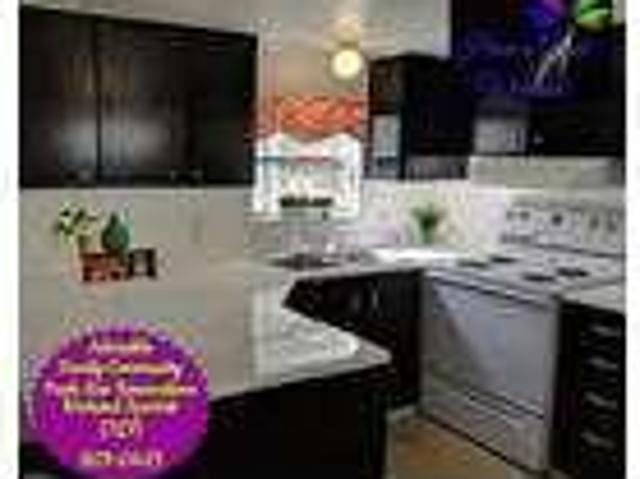 4 Bedroom 2 Bath In Hudson FL 34669