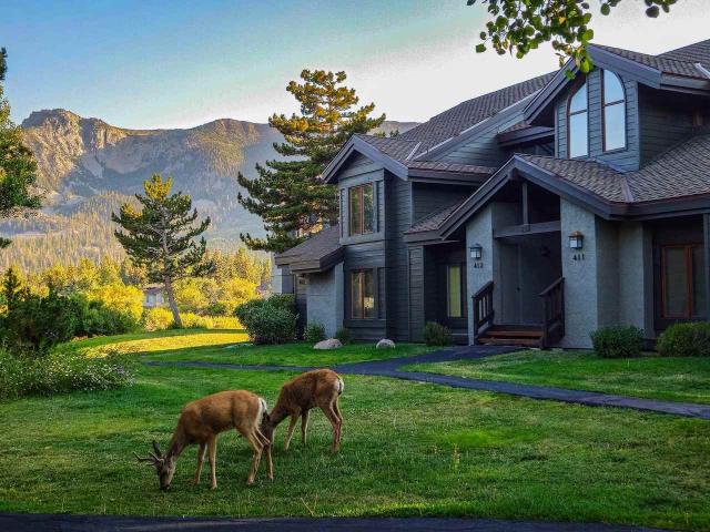 4 Bedroom Condo for Rent at 410 White Bark, Mammoth Lakes, CA 93546 Snowcreek