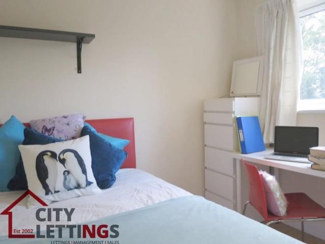 4 bedroom apartment to rent