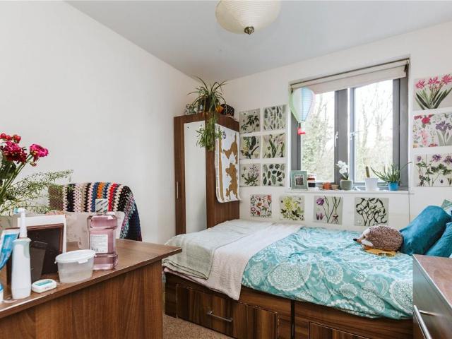 4 bedroom apartment to rent