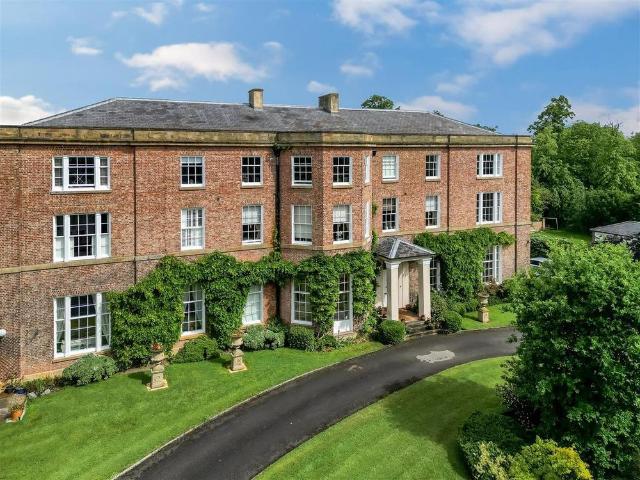 4 bedroom apartment to rent