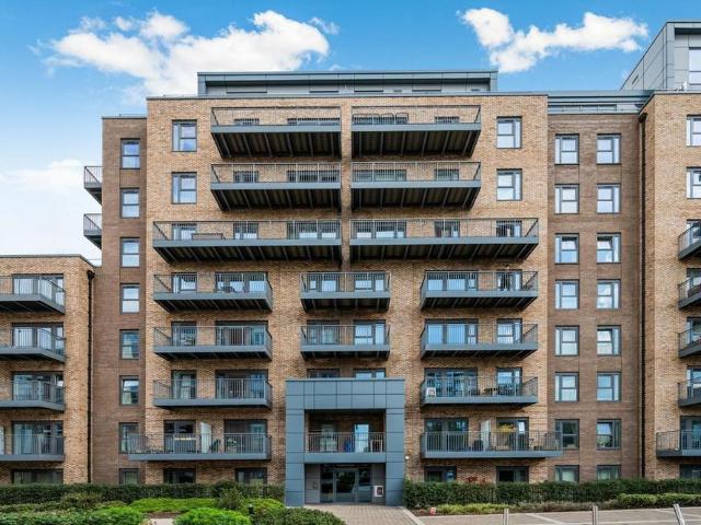 4 bedroom apartment to rent