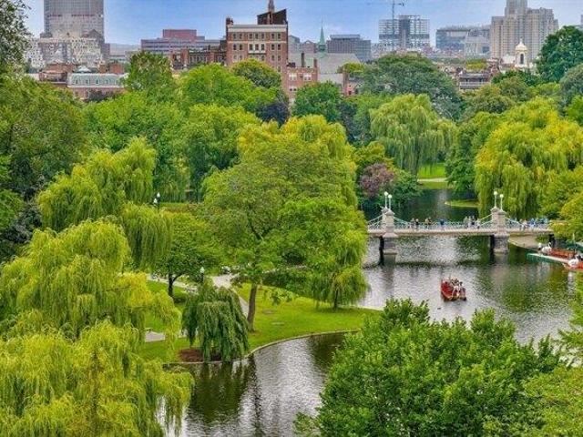 4 bedroom, Boston MA 02116 103073841