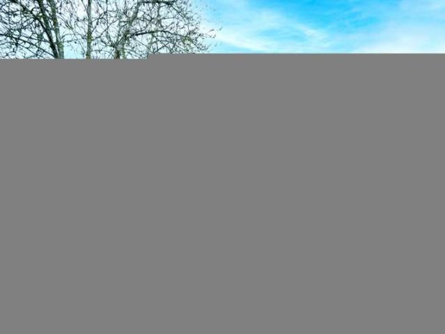 4 Bedroom Bungalow