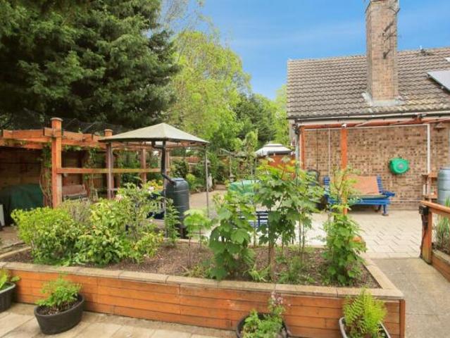 4 bedroom bungalow for sale in Copper Beech Way, Peterborough, PE2