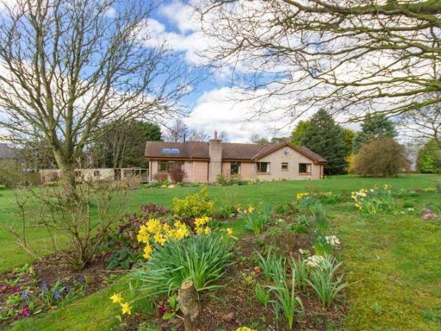 4 Bedroom Detached Bungalow