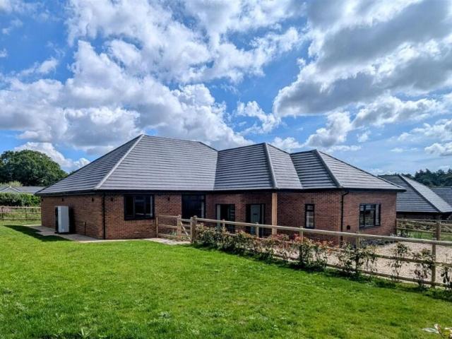 4 bedroom detached bungalow for sale in Hackwood Lane, Cliddesden, Basingstoke, RG25