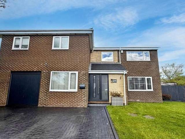 4 Bedroom Studio Flat