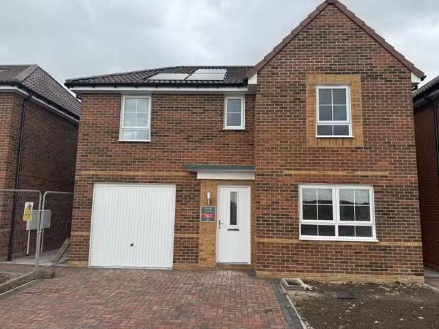 4 bedroom detached house for rent in Hazelnut Drive, Beverley.