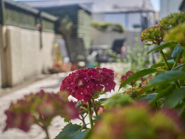 4 bedroom detached house for sale in Oakfield Street, Exeter, EX1