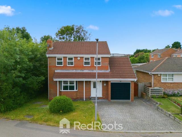 4 bedroom detached house to rent
