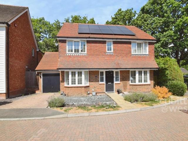 4 bedroom detached house to rent
