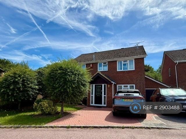 4 bedroom detached house to rent