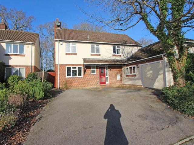 4 bedroom detached house to rent