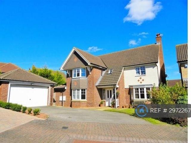 4 bedroom detached house to rent