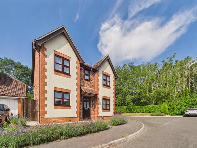4 bedroom detached house to rent