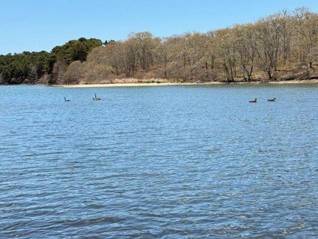 4 bedroom, Edgartown MA 02539 102591725