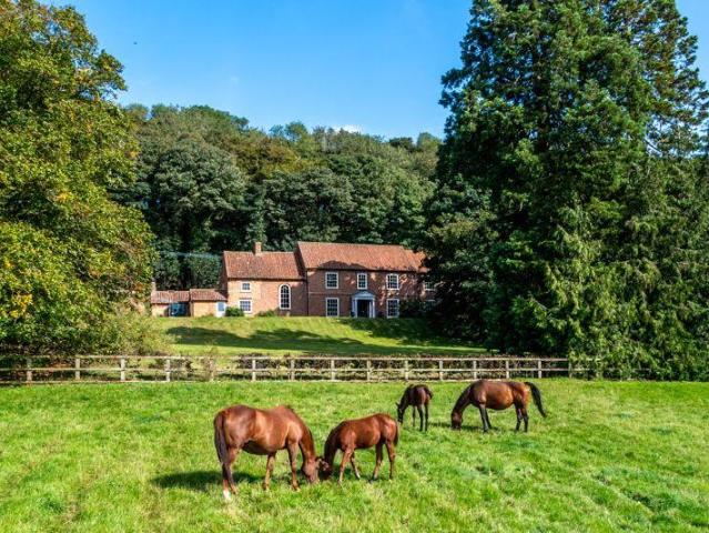 4 bedroom equestrian facility for sale