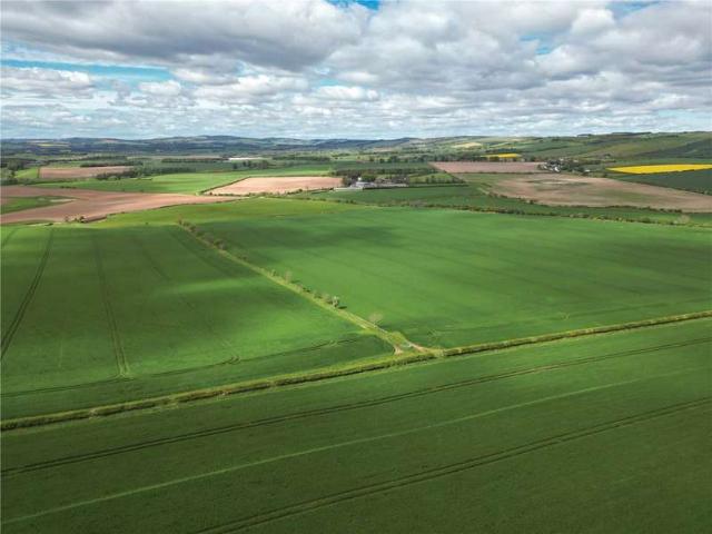 4 Bedroom Farm Commercial