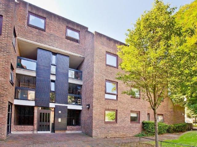 4 bedroom flat to rent