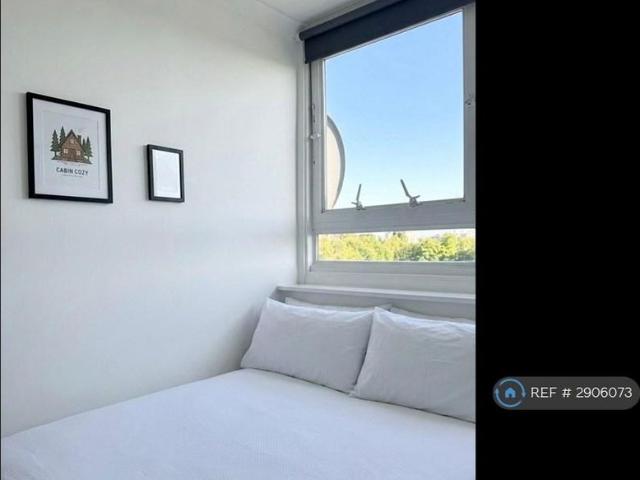 4 bedroom flat to rent