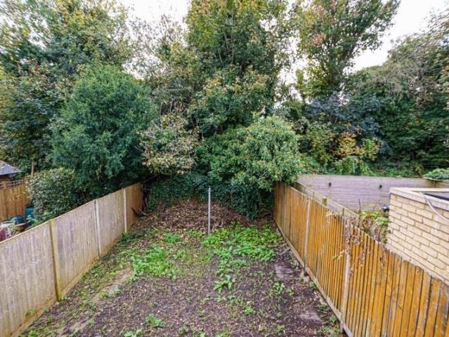 4 bedroom flat share to rent