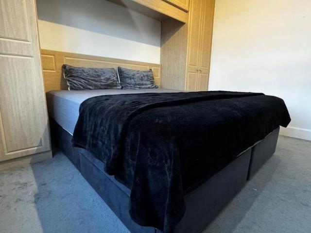 4 bedroom house share to rent