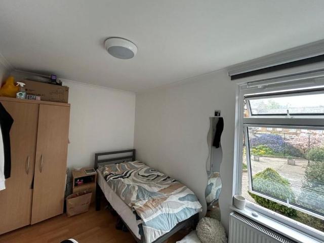 4 bedroom house share to rent