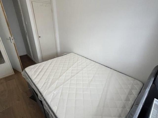 4 bedroom house share to rent