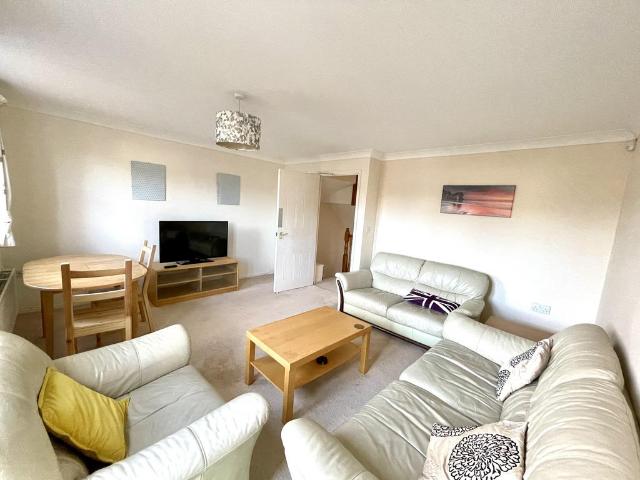 4 bedroom house share to rent