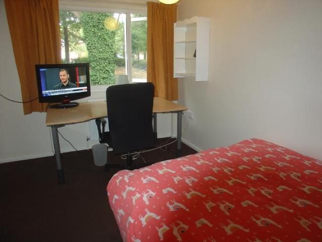 4 bedroom house share to rent